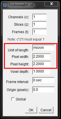 PART 4: SCALES AND SIZING · Fiji Basics