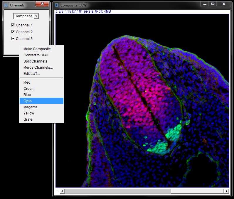 PART 5: CHANNELS AND COLOURS · Fiji Basics