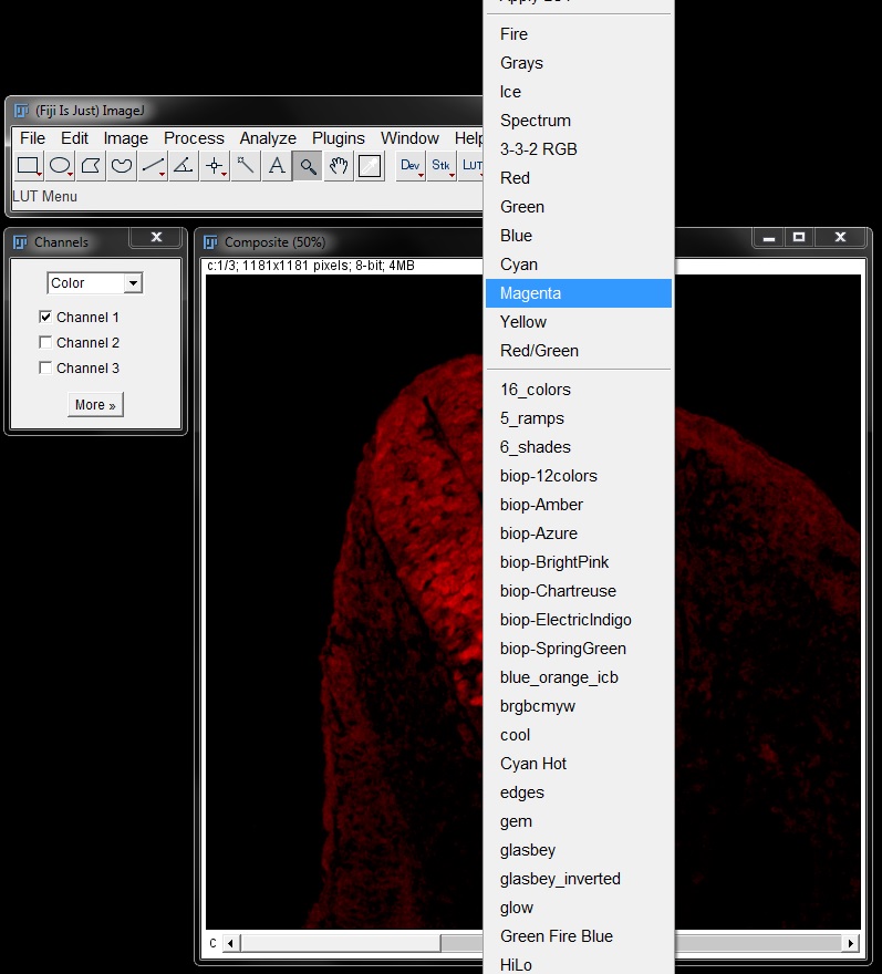 PART 5: CHANNELS AND COLOURS · Fiji Basics