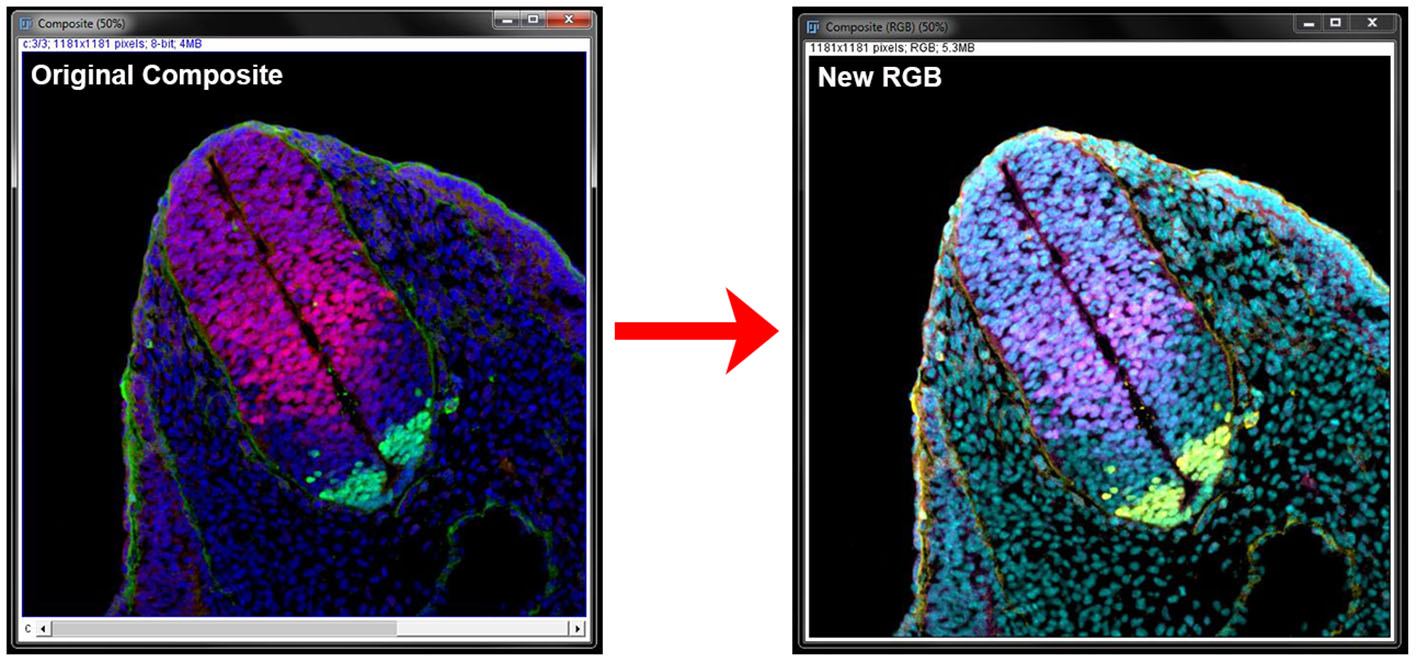 PART 5: CHANNELS AND COLOURS · Fiji Basics