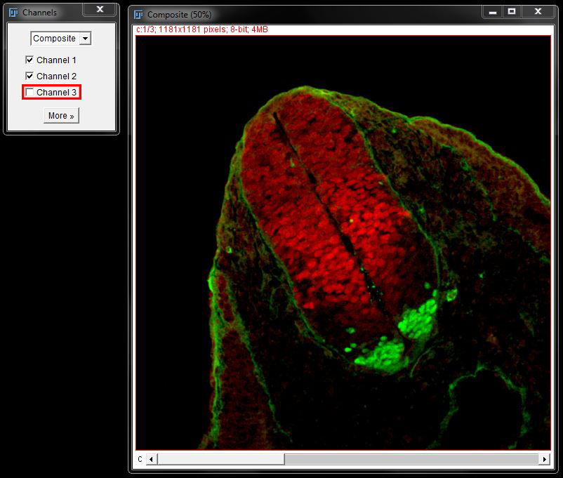 PART 5: CHANNELS AND COLOURS · Fiji Basics