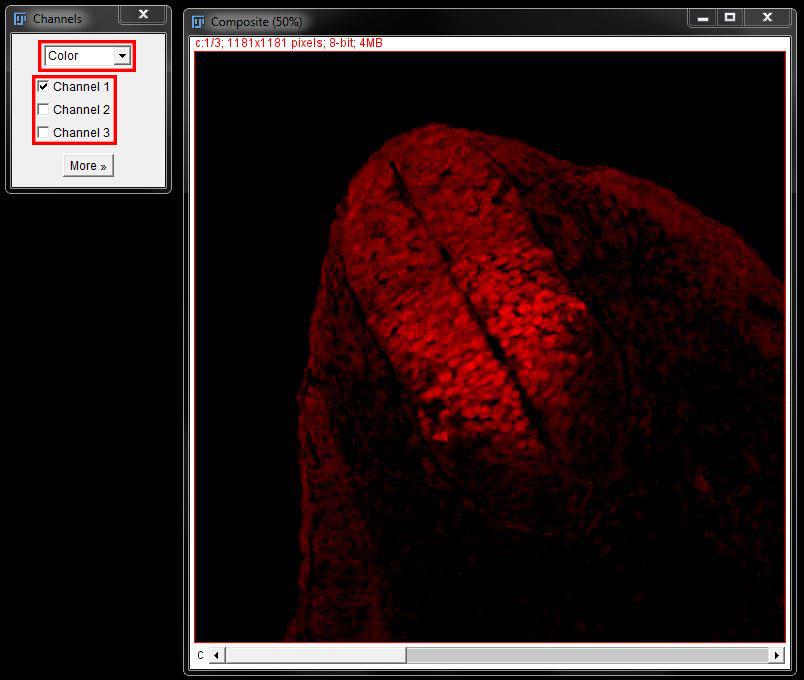 PART 5: CHANNELS AND COLOURS · Fiji Basics