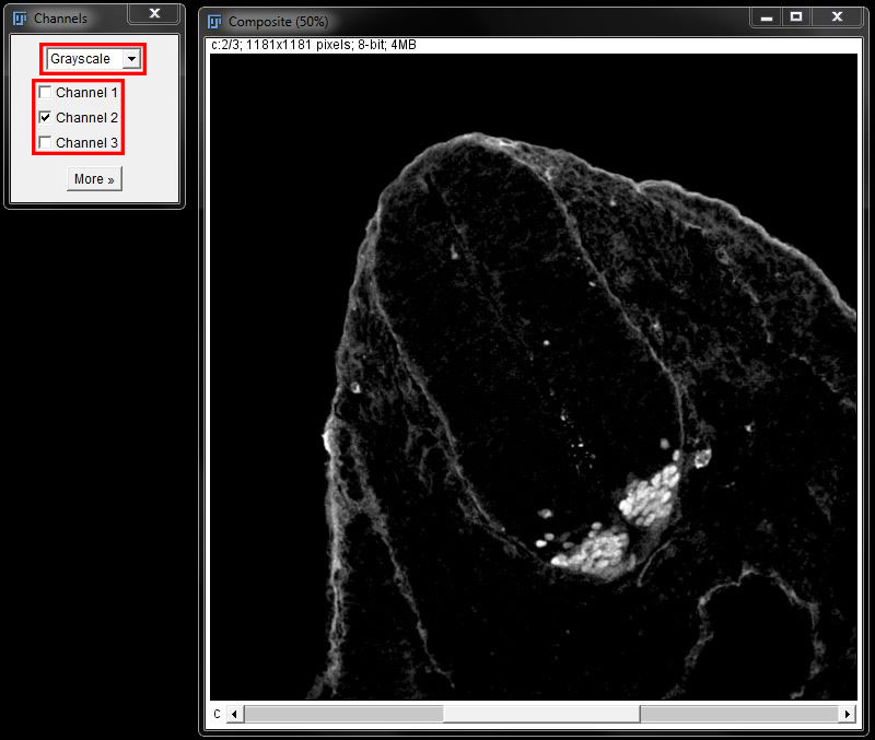 PART 5: CHANNELS AND COLOURS · Fiji Basics
