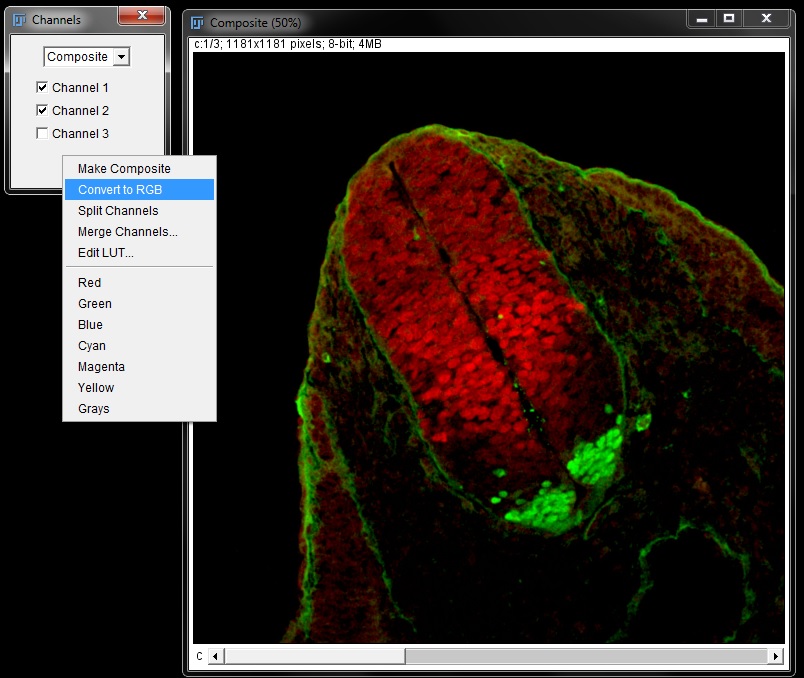 PART 5: CHANNELS AND COLOURS · Fiji Basics