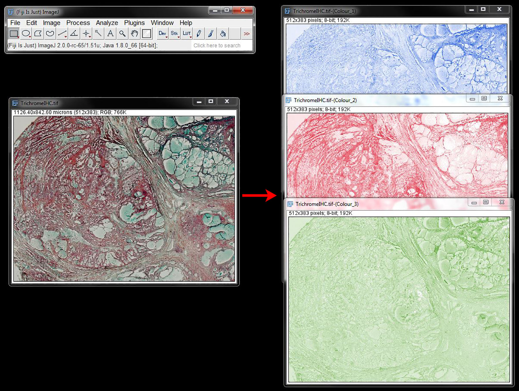 PART 5: CHANNELS AND COLOURS · Fiji Basics