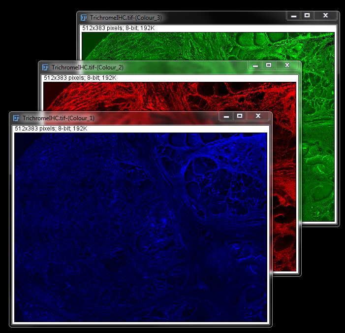PART 5: CHANNELS AND COLOURS · Fiji Basics