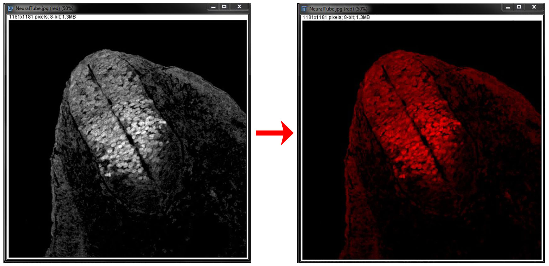 PART 5: CHANNELS AND COLOURS · Fiji Basics