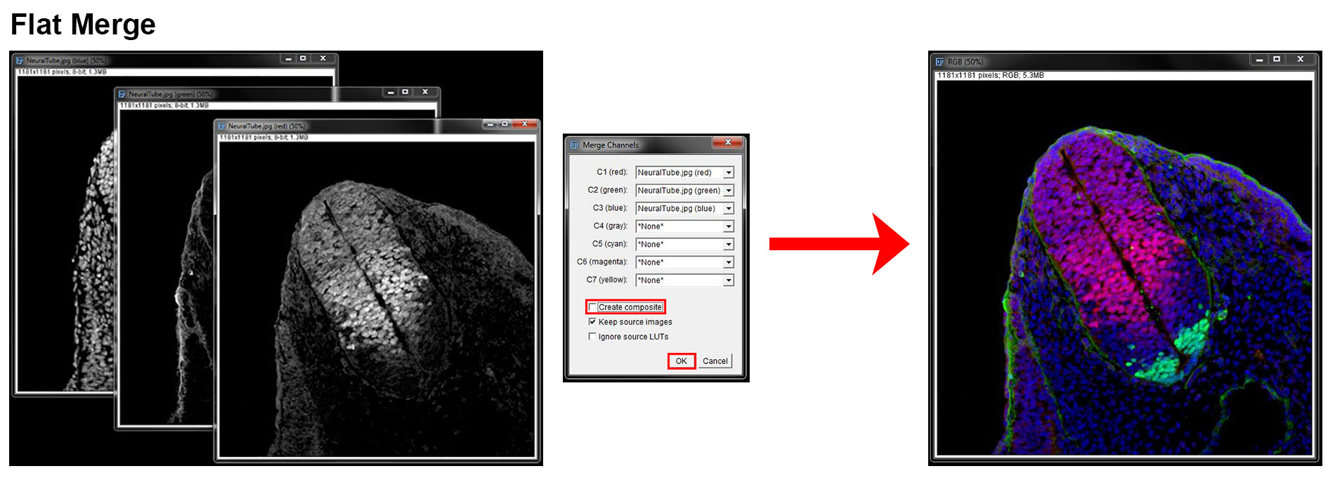 PART 5: CHANNELS AND COLOURS · Fiji Basics