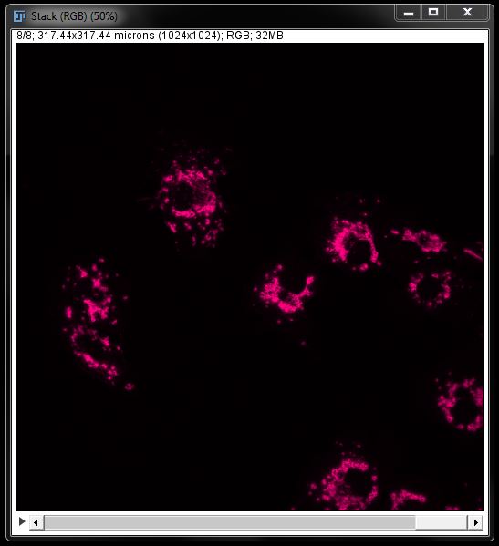 PART 5: CHANNELS AND COLOURS · Fiji Basics