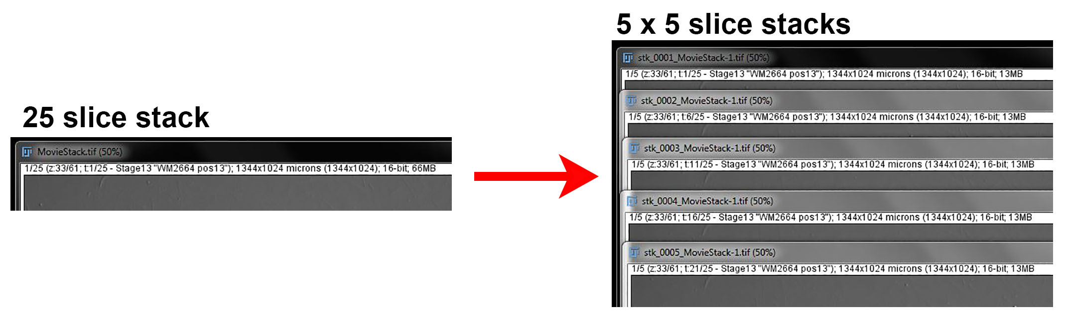 PART 7: WORKING WITH STACKS · Fiji Basics