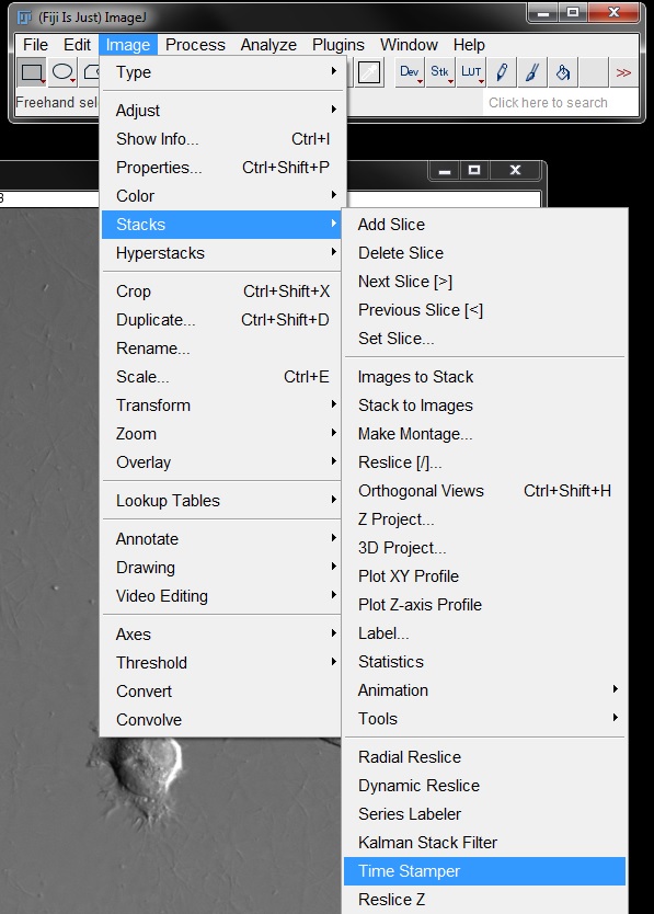 PART 2: MULTIPLE DIMENSIONS · Fiji Intermediate