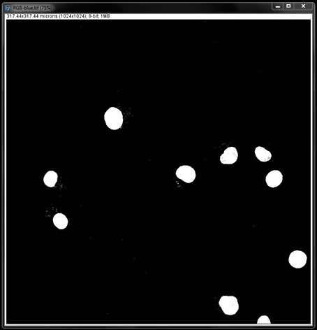 PART 3: MASKS AND FILTERS · Fiji Intermediate