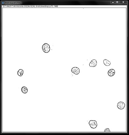 PART 3: MASKS AND FILTERS · Fiji Intermediate