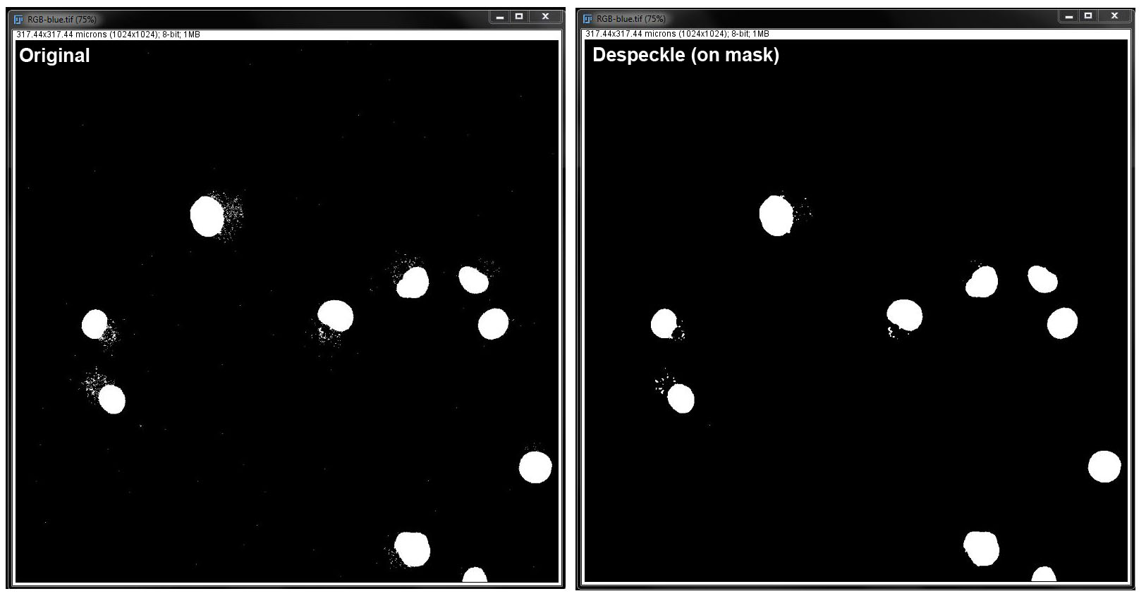 PART 3: MASKS AND FILTERS · Fiji Intermediate