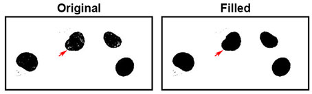 PART 3: MASKS AND FILTERS · Fiji Intermediate