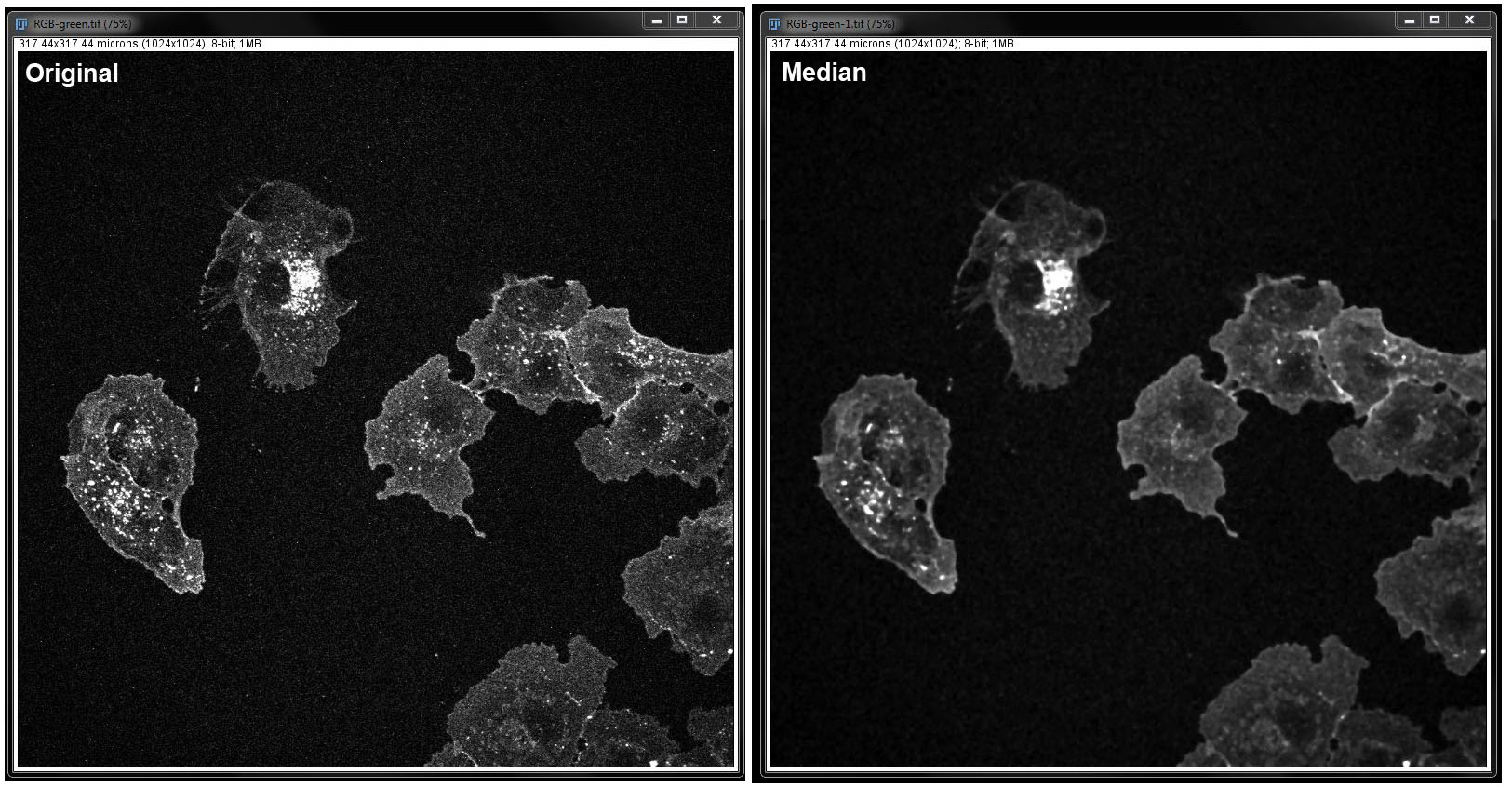 PART 3: MASKS AND FILTERS · Fiji Intermediate