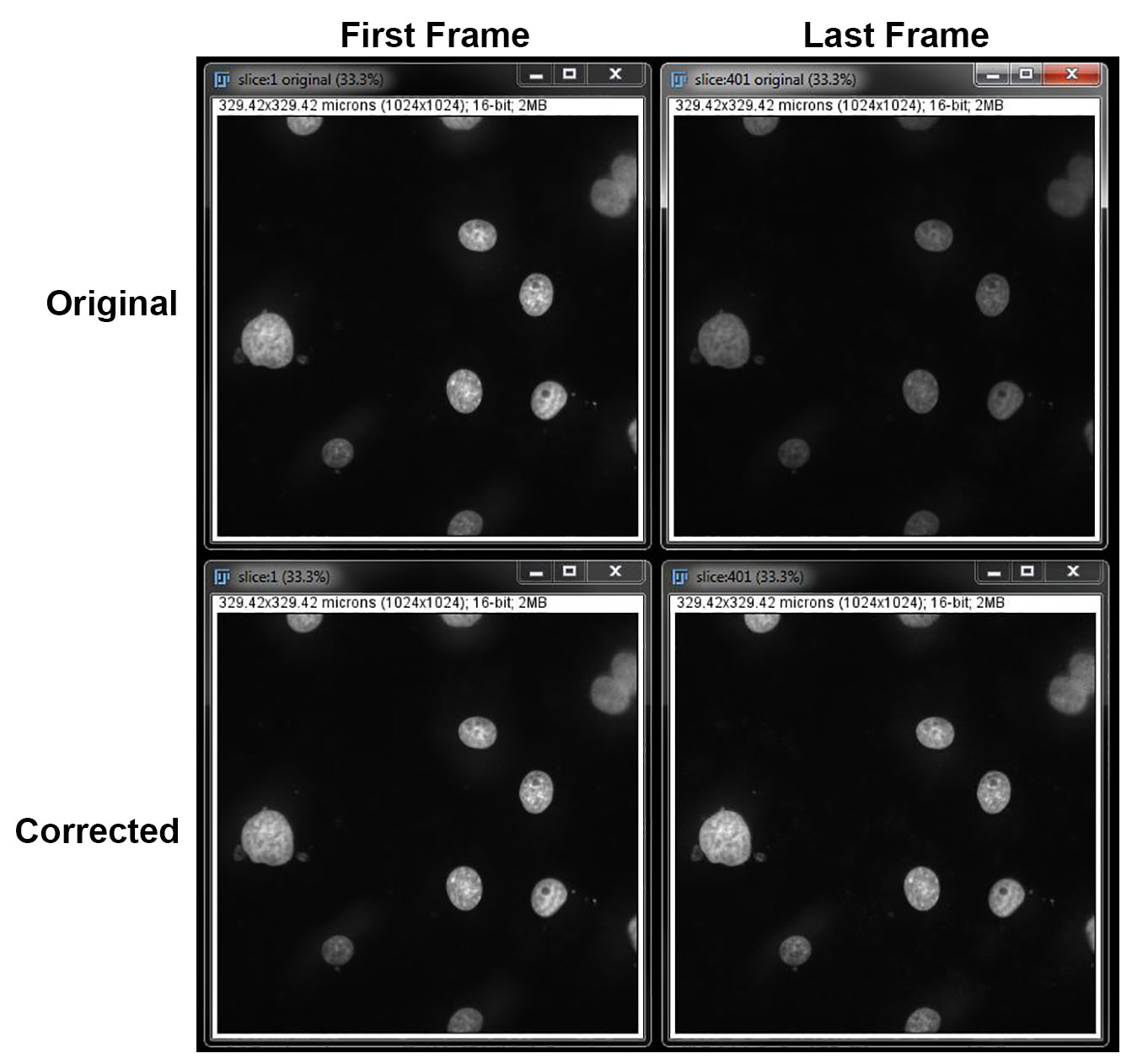 PART 4: IMAGE CORRECTION · Fiji Intermediate