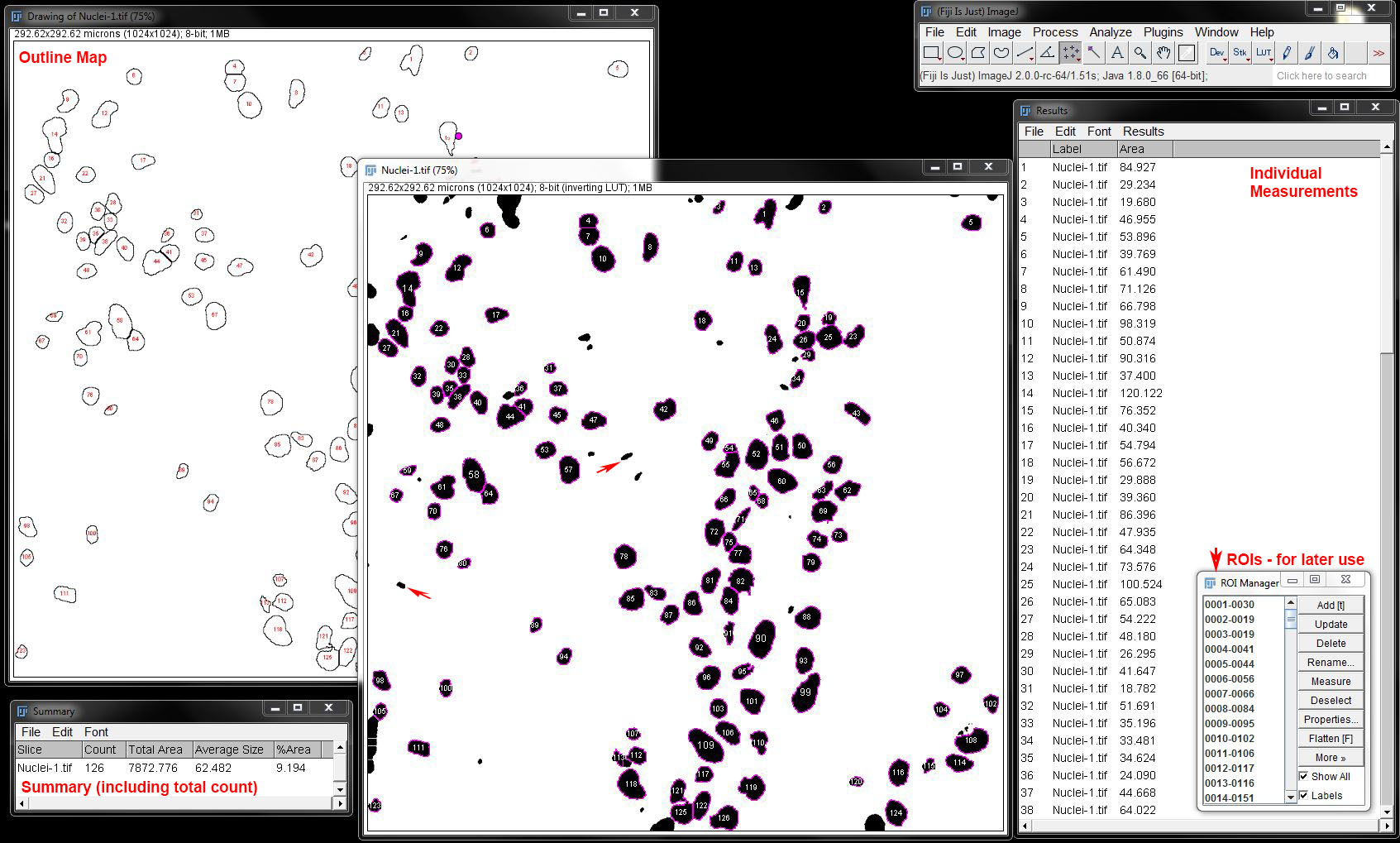 PART 6: SIMPLE IMAGE MEASUREMENTS · Fiji Intermediate