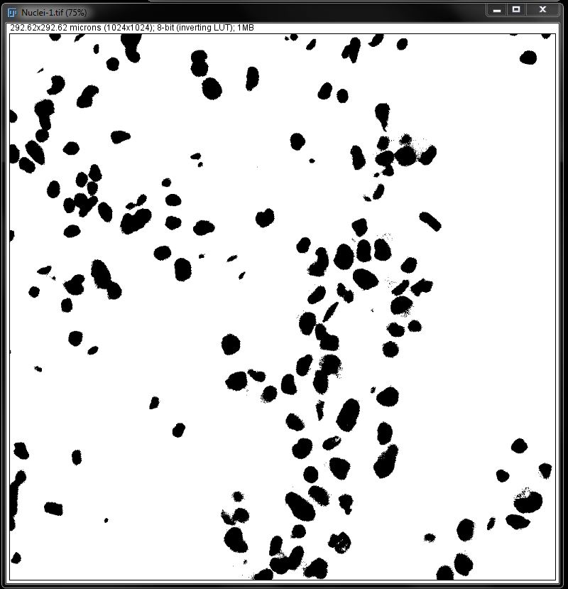 PART 6: SIMPLE IMAGE MEASUREMENTS · Fiji Intermediate