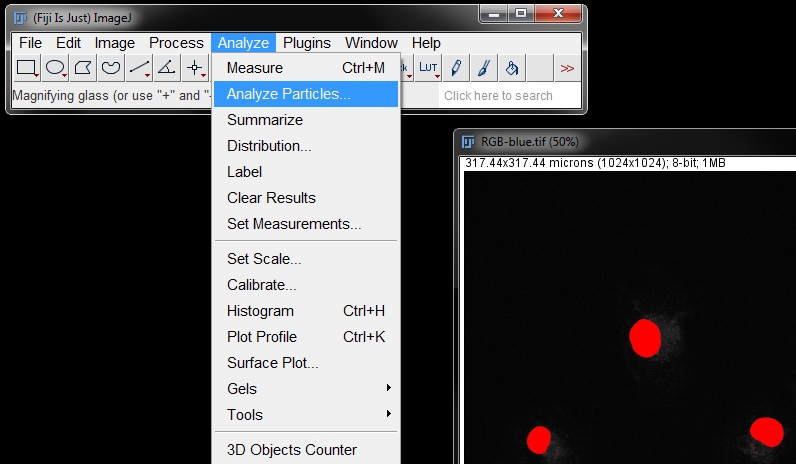 PART 6: SIMPLE IMAGE MEASUREMENTS · Fiji Intermediate