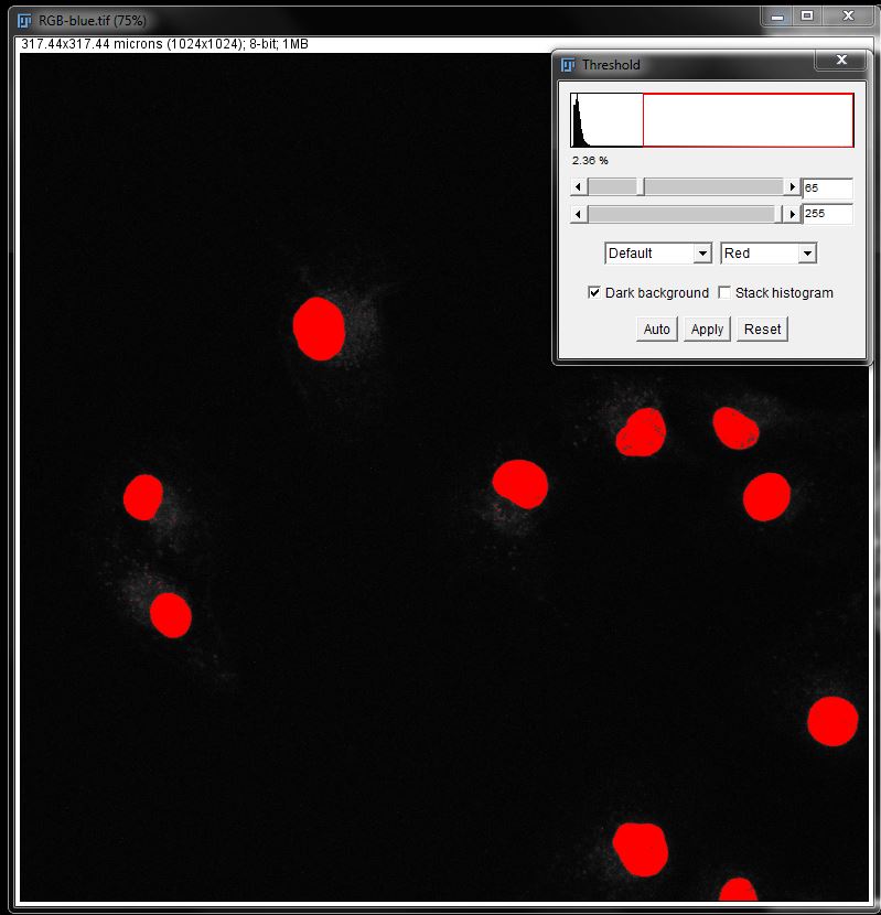 PART 6: SIMPLE IMAGE MEASUREMENTS · Fiji Intermediate
