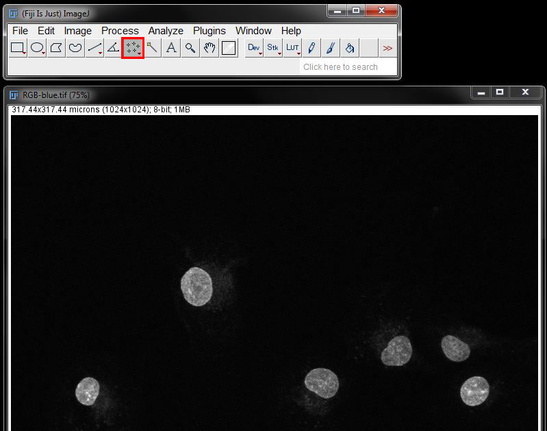PART 6: SIMPLE IMAGE MEASUREMENTS · Fiji Intermediate