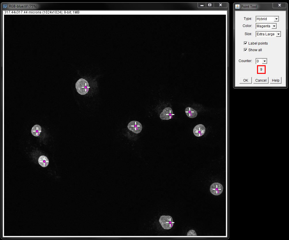 PART 6: SIMPLE IMAGE MEASUREMENTS · Fiji Intermediate